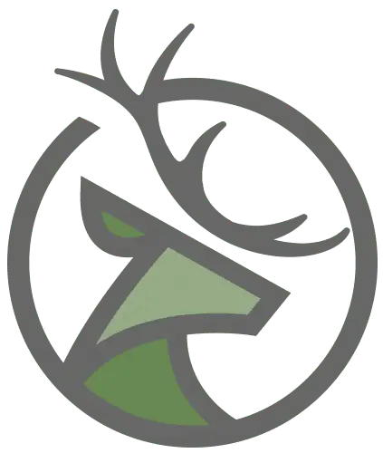 WHELK | Creative Digital Agency | Call Us Today: 833 428-2325